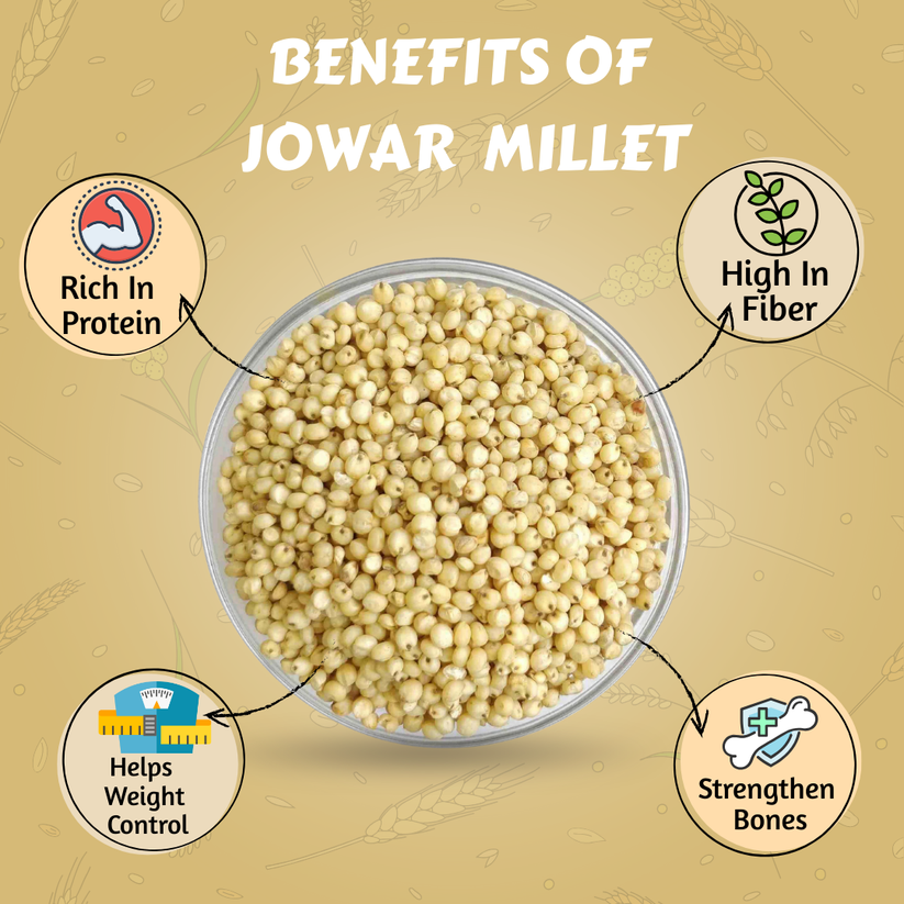 Jowar Millet – Millet Mania