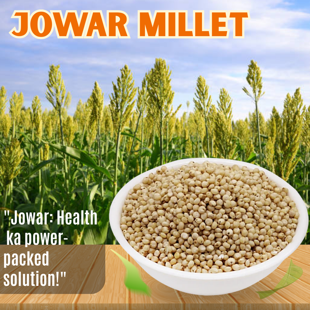 Jowar Millet – Millet Mania
